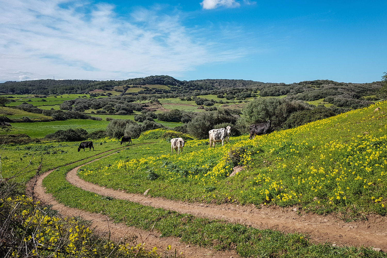 Menorca - Menorca 360º